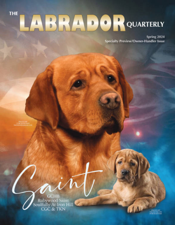 The Labrador Quarterly | Labrador Magazine